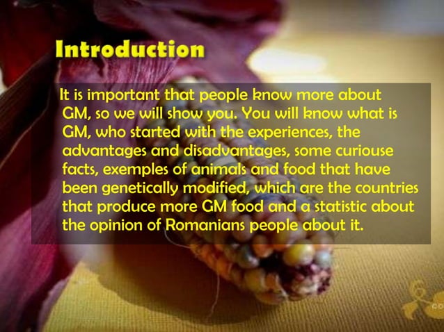 Geneticmodification food and animals | PPT