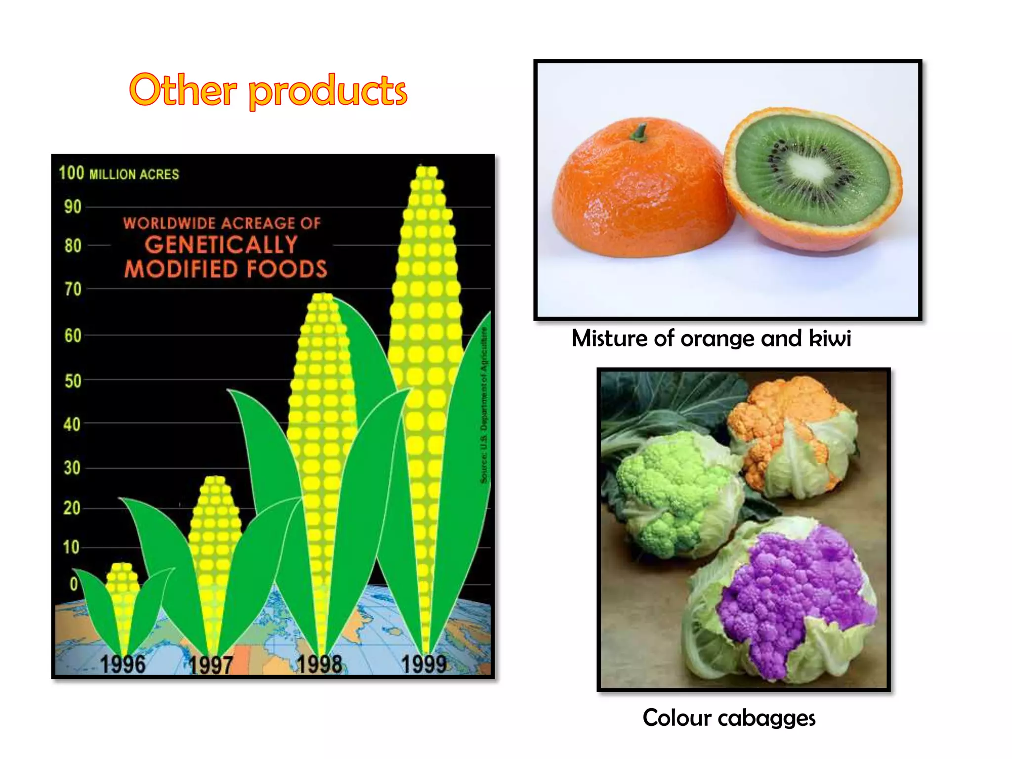 Genetic modification | PPTX