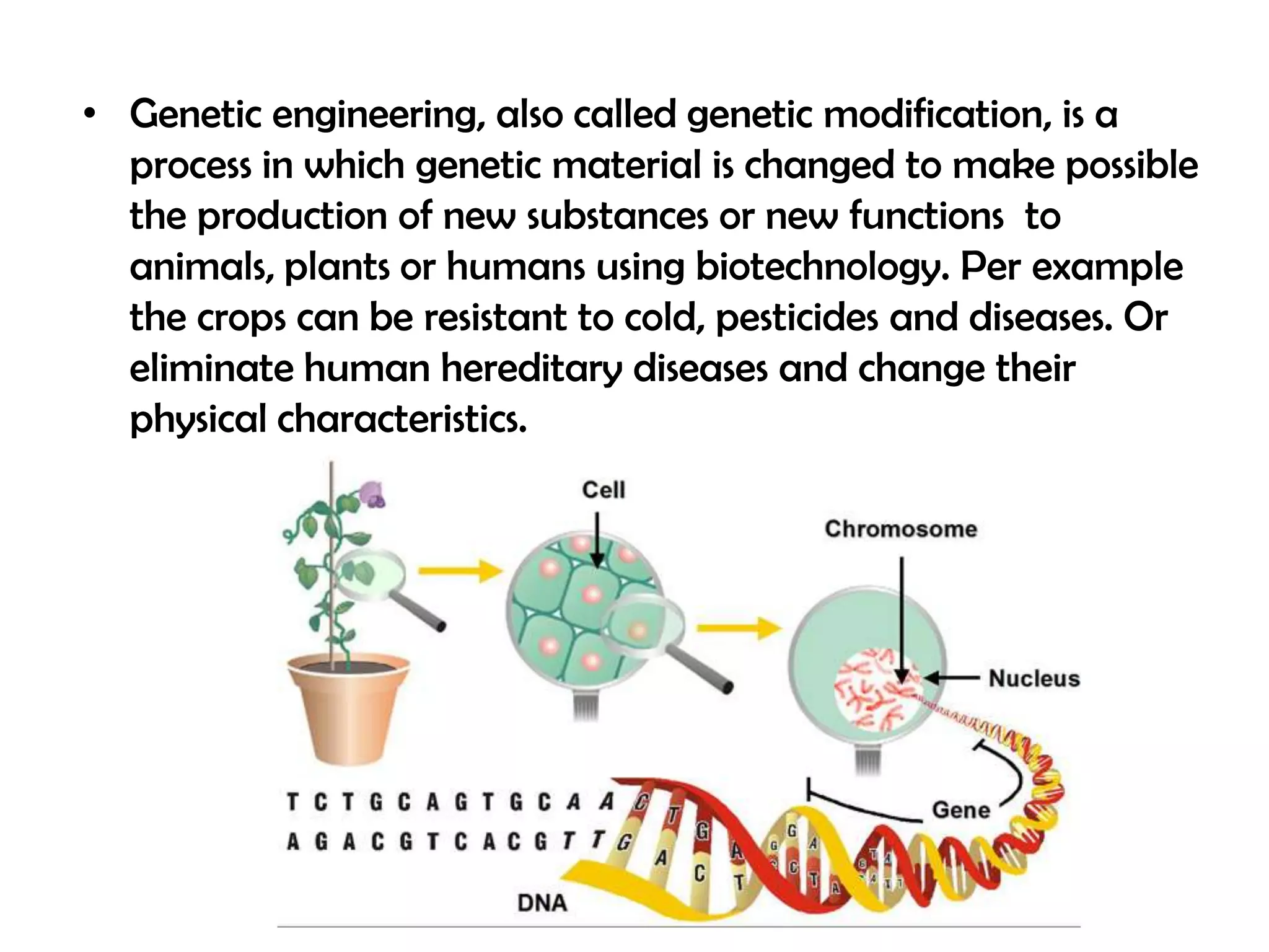 Genetic modification | PPTX
