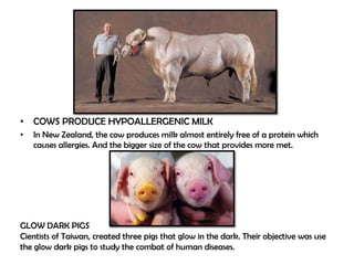 Genetic modification | PPTX