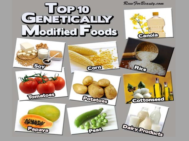 Genetic modification | PPTX