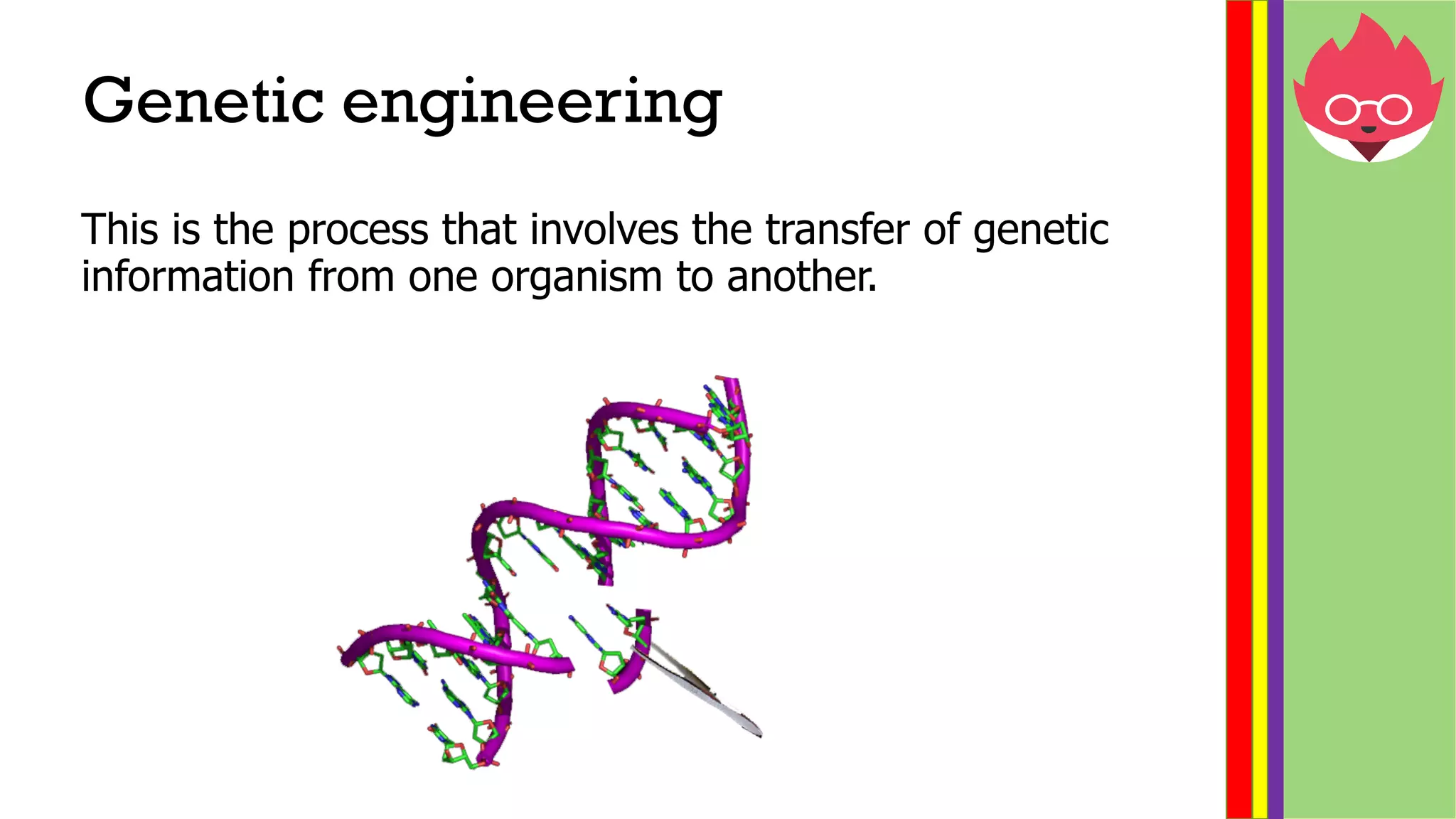 IGCSE Biology Edexcel (9-1)- Genetic modification | PDF