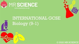 IGCSE Biology Edexcel (9-1)- Genetic modification | PDF