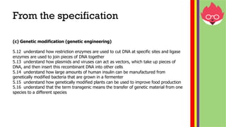 IGCSE Biology Edexcel (9-1)- Genetic modification | PDF