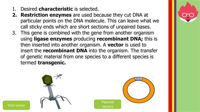 IGCSE Biology Edexcel (9-1)- Genetic modification | PDF