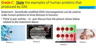 Genetic modification - Lesson slides.pptx