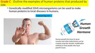 Genetic modification - Lesson slides.pptx