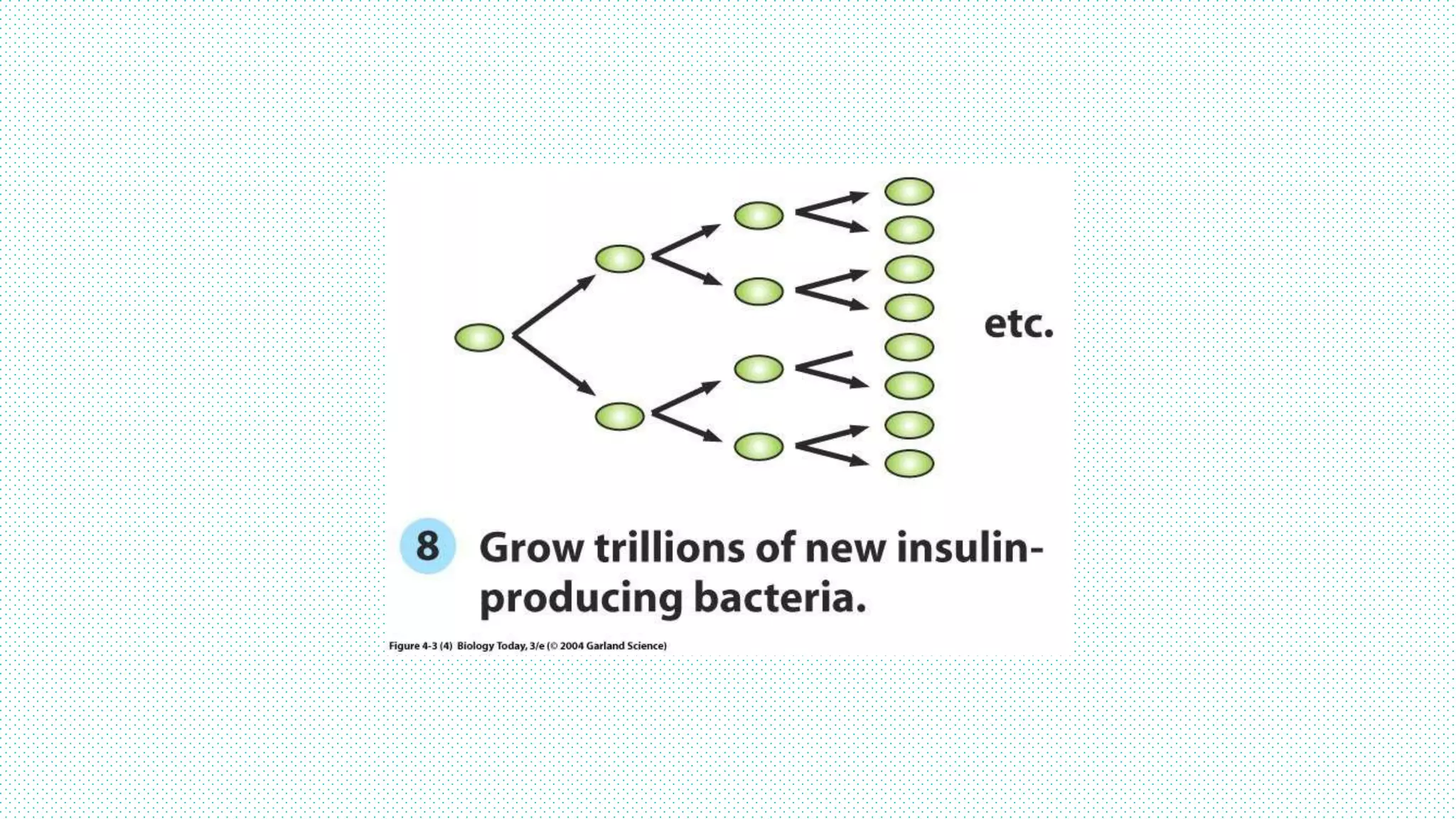 Genetic modification carried out in bacteria and itsindustrial import…