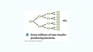 Genetic modification carried out in bacteria and itsindustrial ...