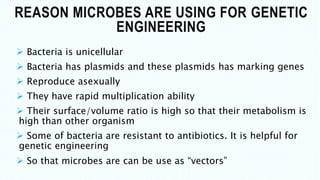 Genetic modification carried out in bacteria and itsindustrial ...
