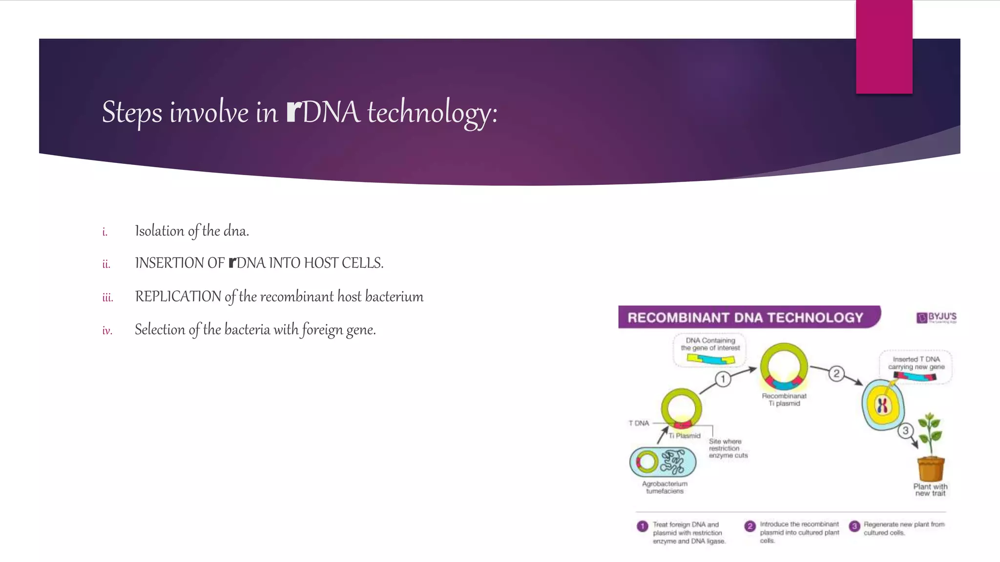 GENETIC MODIFICATION OF PLANT using recombinant dna..pptx