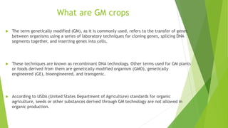 Genetic modified crops | PPTX