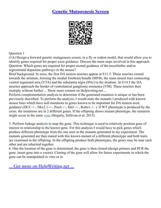 Genetic Mutagenesis Screen | PDF