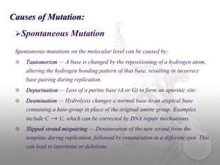 Genetic Mutation | PPTX