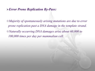 Genetic Mutation | PPTX