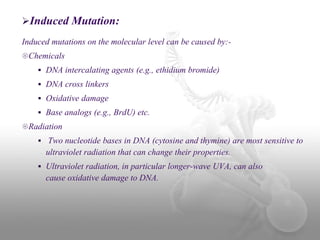 Genetic Mutation | PPTX