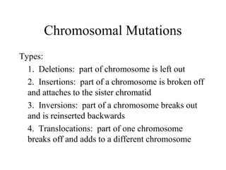 Genetic Mutations 1 | PPT
