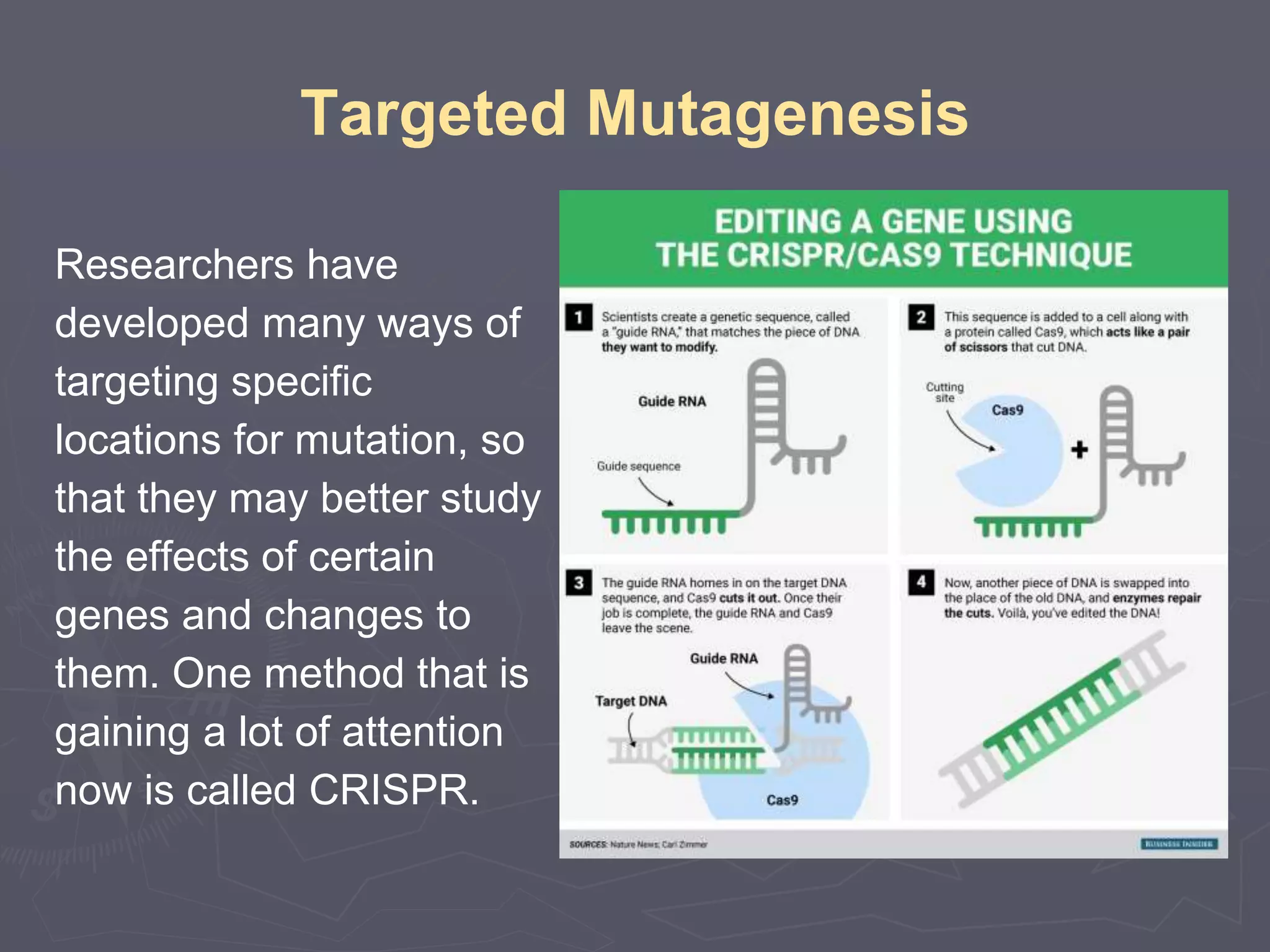 Genetic Mutations.ppt.pptx