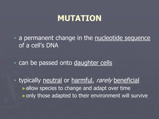 Genetic Mutations.ppt.pptx