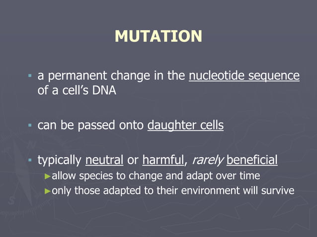 Genetic Mutations.ppt.pptx