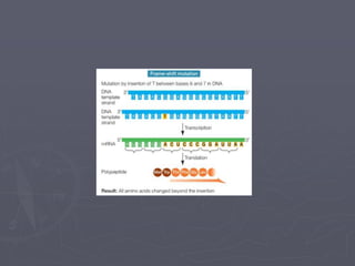 Genetic Mutations.ppt.pptx