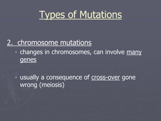 Genetic Mutations.ppt.pptx