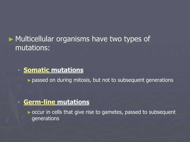 Genetic Mutations.ppt.pptx
