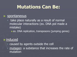 Genetic Mutations.ppt.pptx