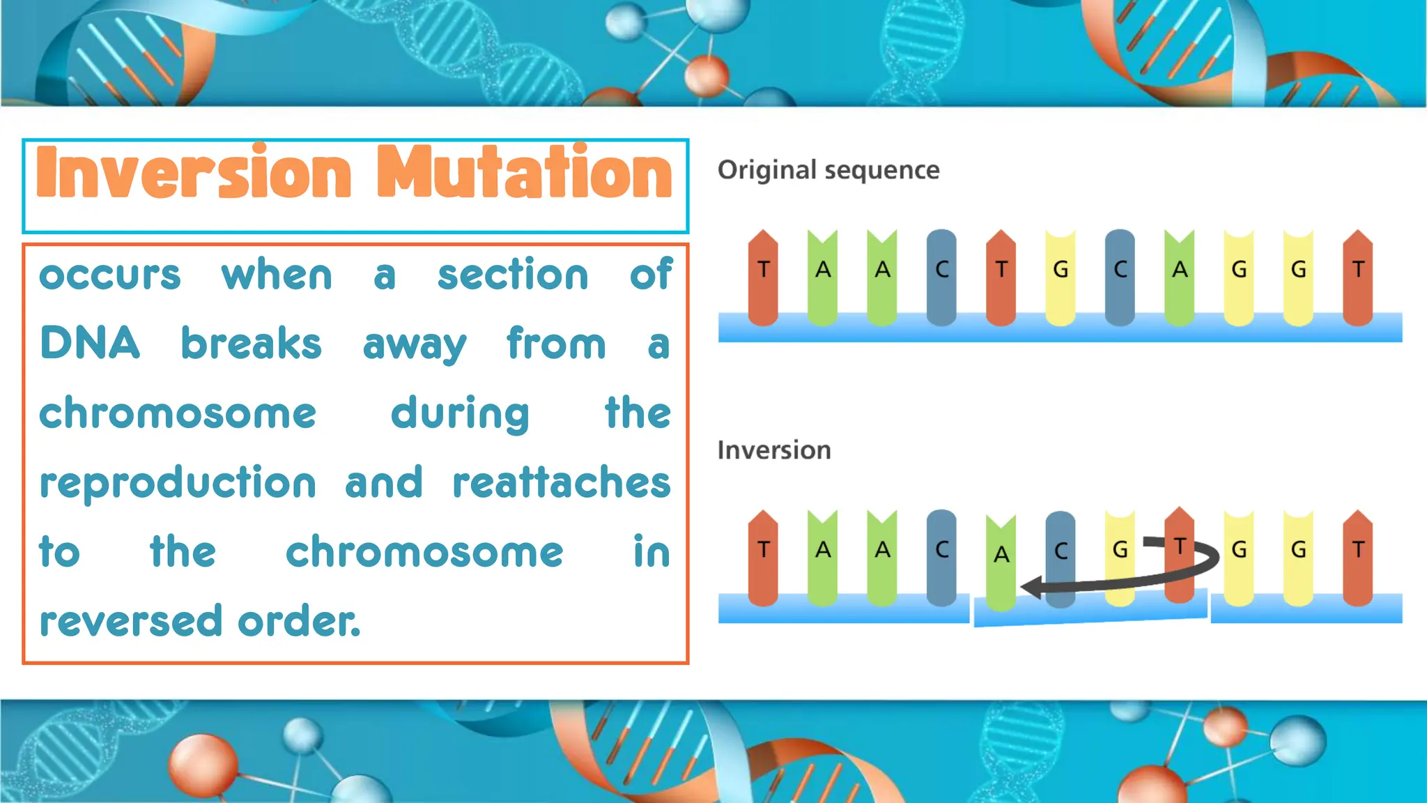 Genetic Mutations dieses A genetic mutation is a change that occurs in ...