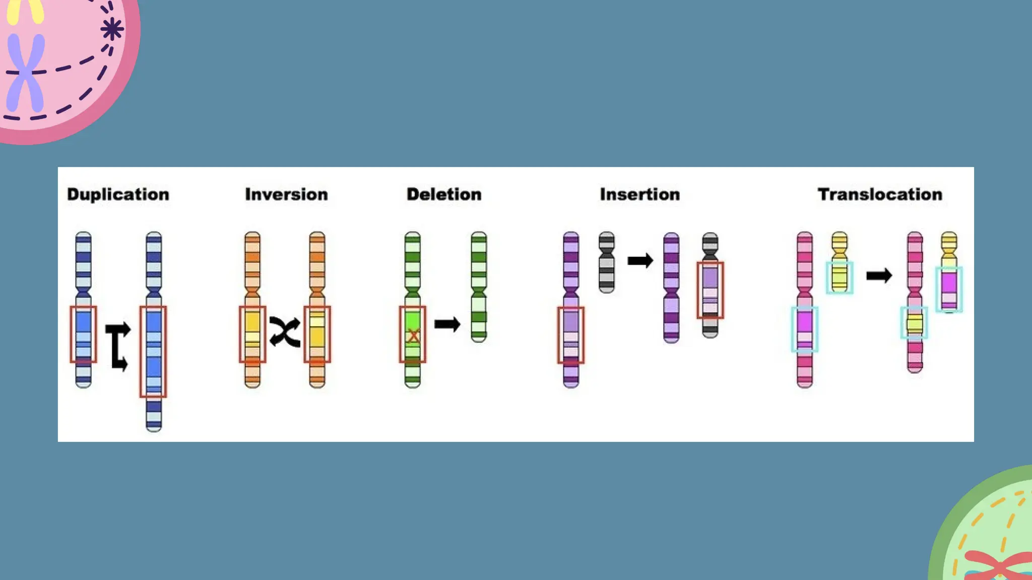 science 10 quarter 3 Genetic Mutations.pptx