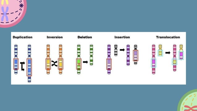 science 10 quarter 3 Genetic Mutations.pptx