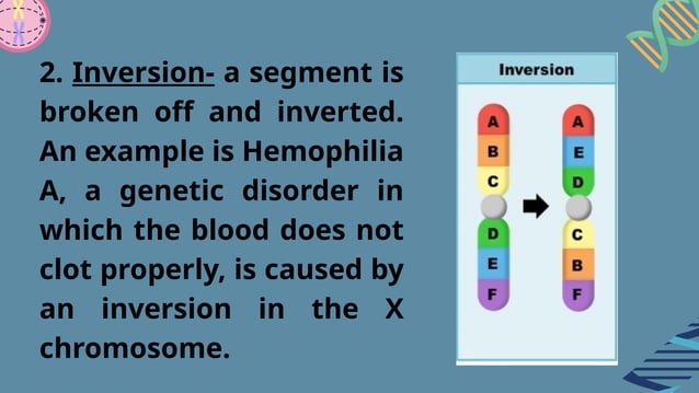 science 10 quarter 3 Genetic Mutations.pptx