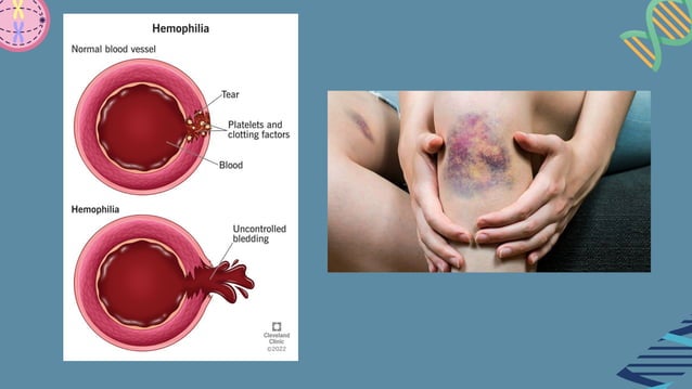 science 10 quarter 3 Genetic Mutations.pptx