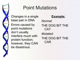 Genetic Mutations 2 | PPT | Genetics | Science