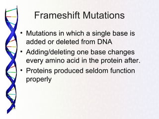 Genetic Mutations 2 | PPT