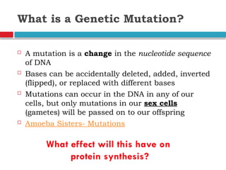 Genetic Mutations Power Point Shortened (2).pptx