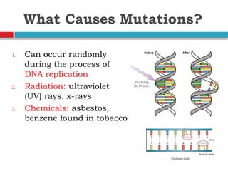 Genetic Mutations Power Point Shortened (2).pptx