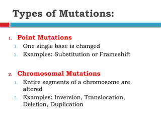 Genetic Mutations Power Point Shortened (2).pptx