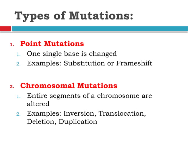 Genetic Mutations Power Point Shortened (2).pptx