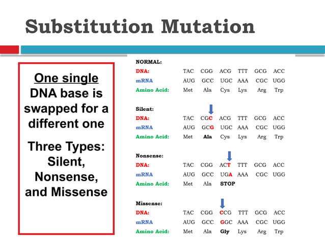 Genetic Mutations Power Point Shortened (2).pptx