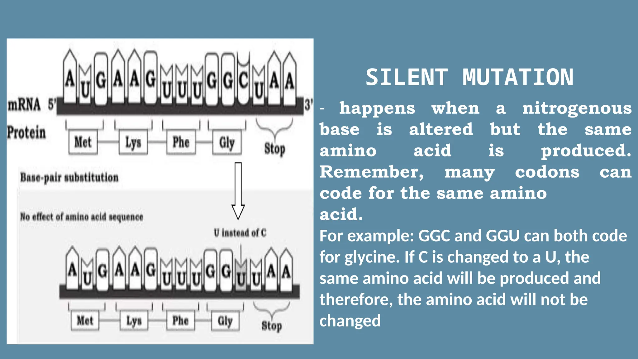 Genetic Mutations Science Presentation.pptx