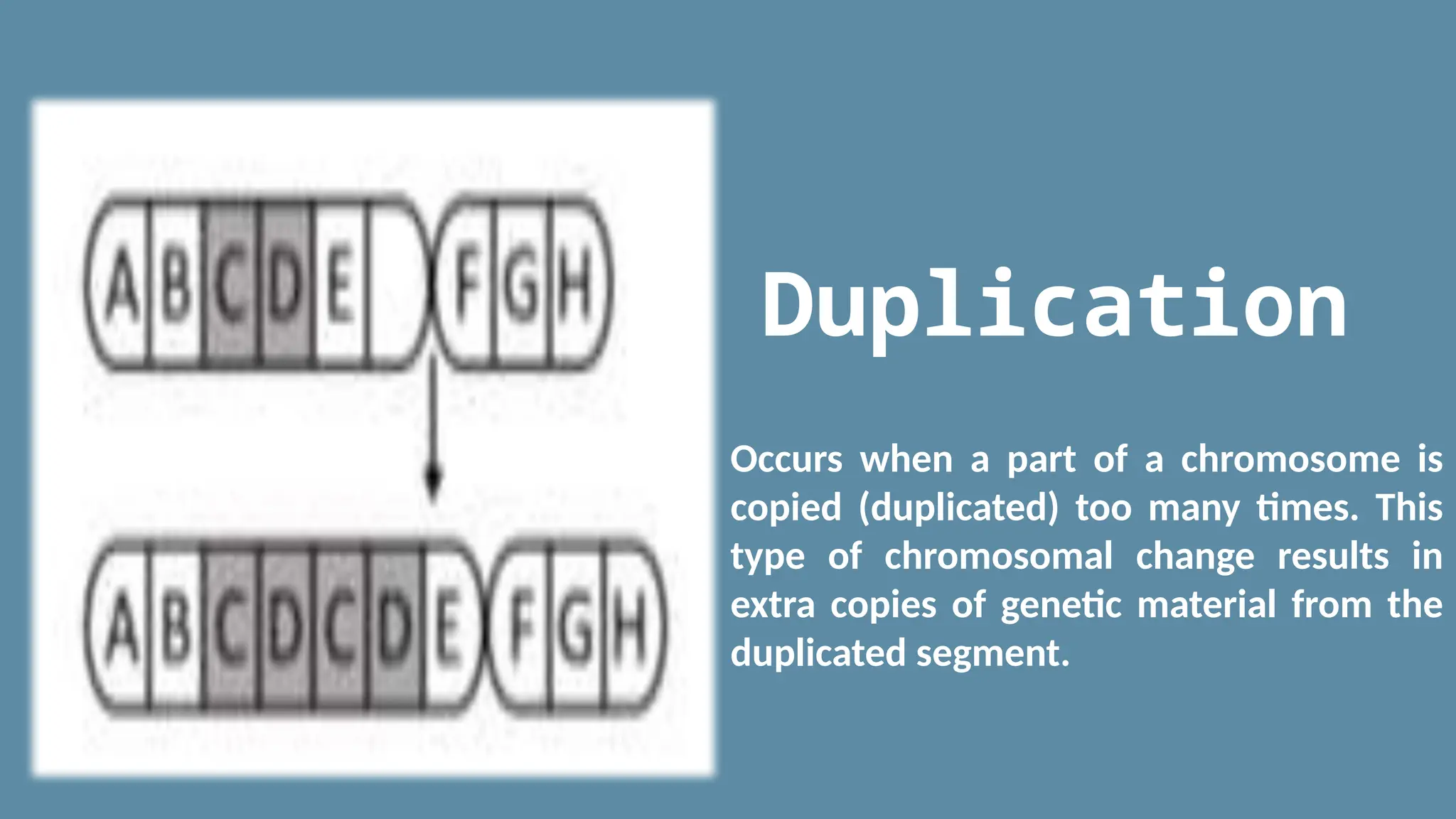 Genetic Mutations Science Presentation.pptx