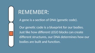 Genetic Mutations Science Presentation.pptx