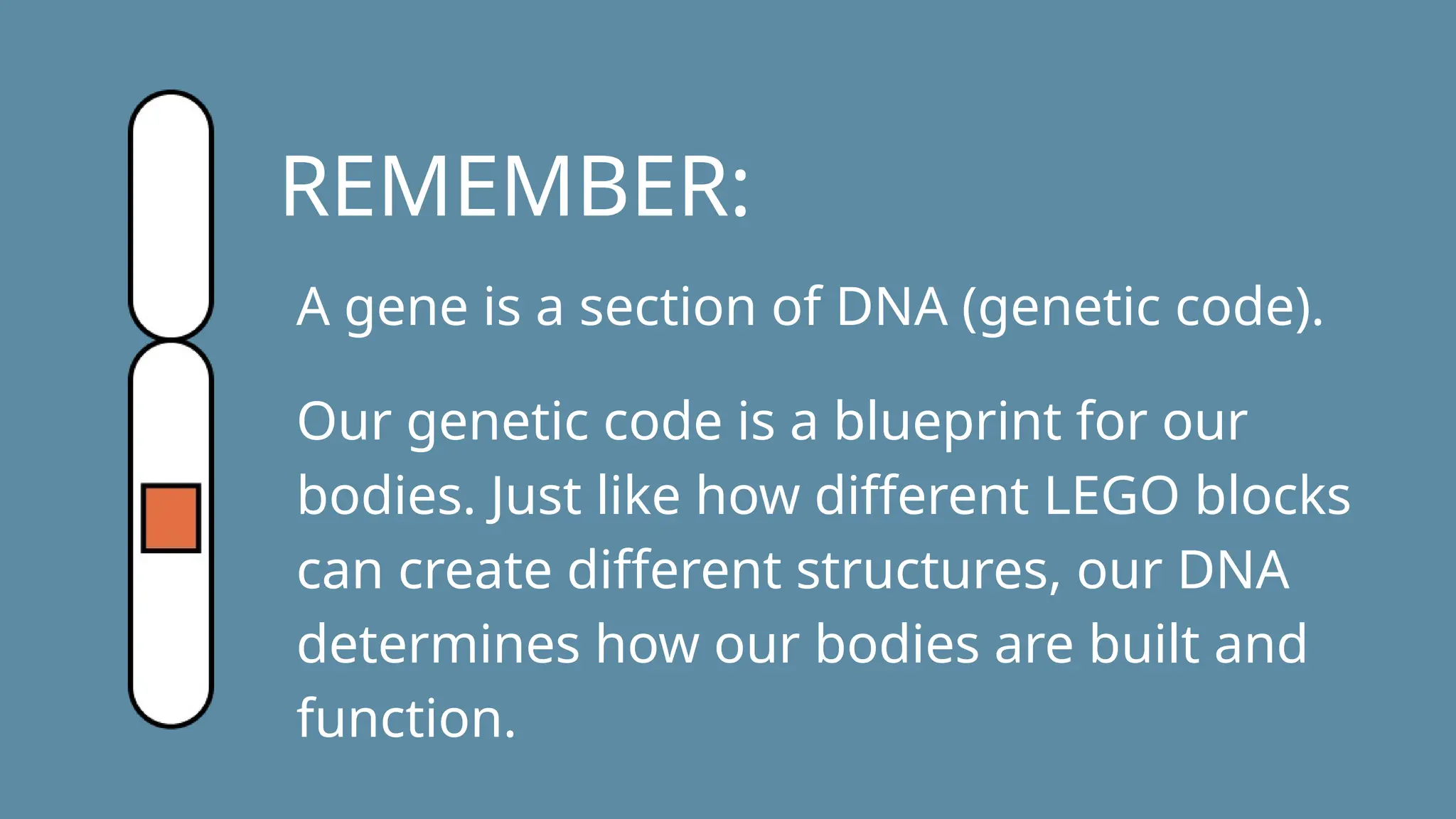 Genetic Mutations Science Presentation in Blue Orange Flat Graphic ...