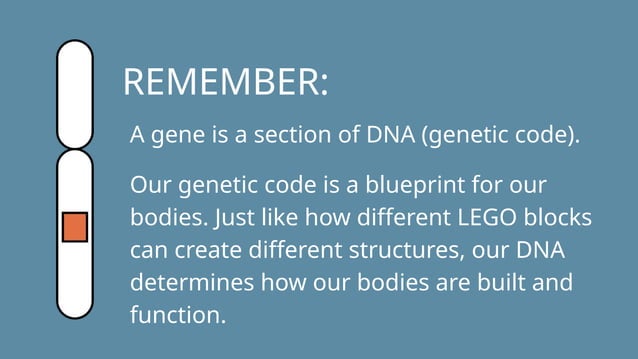 Genetic Mutations Science Presentation in Blue Orange Flat Graphic ...