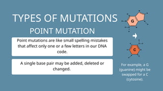 Genetic Mutations Science Presentation in Blue Orange Flat Graphic ...