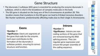 Genetic Mutations Science Presentation .pptx