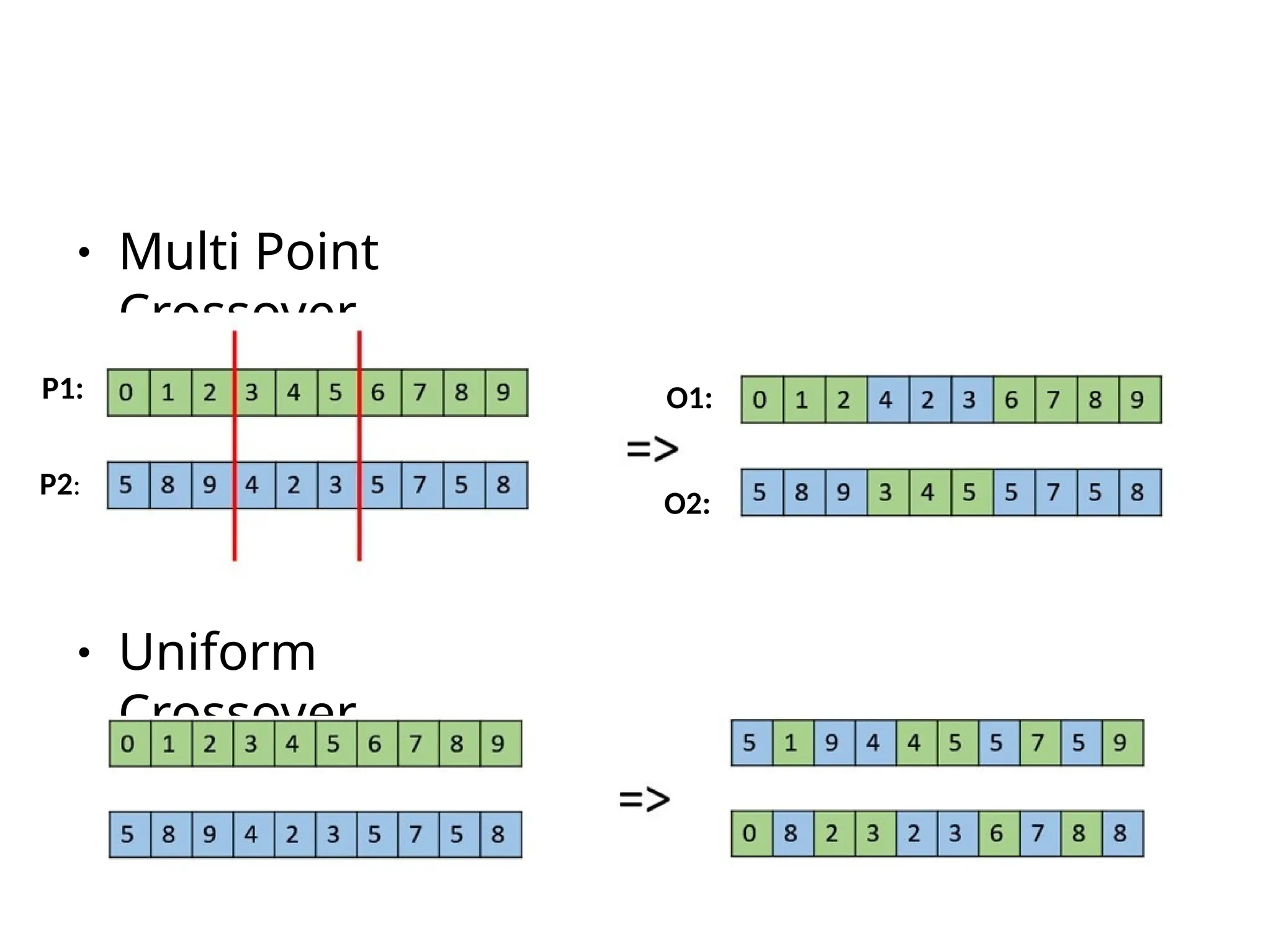 Genetic Operators By Robin(23188) in AI.pptx