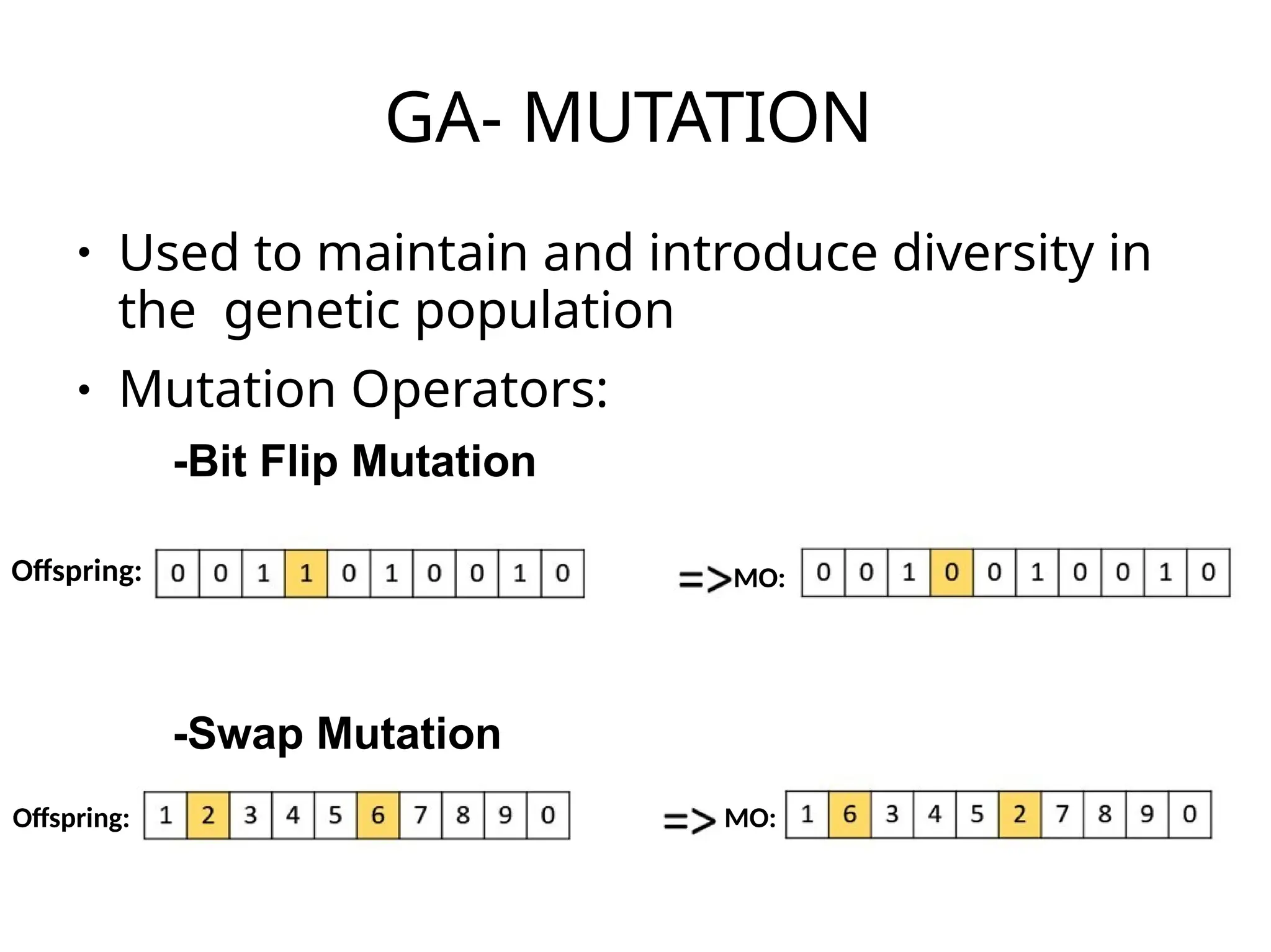 Genetic Operators By Robin(23188) in AI.pptx