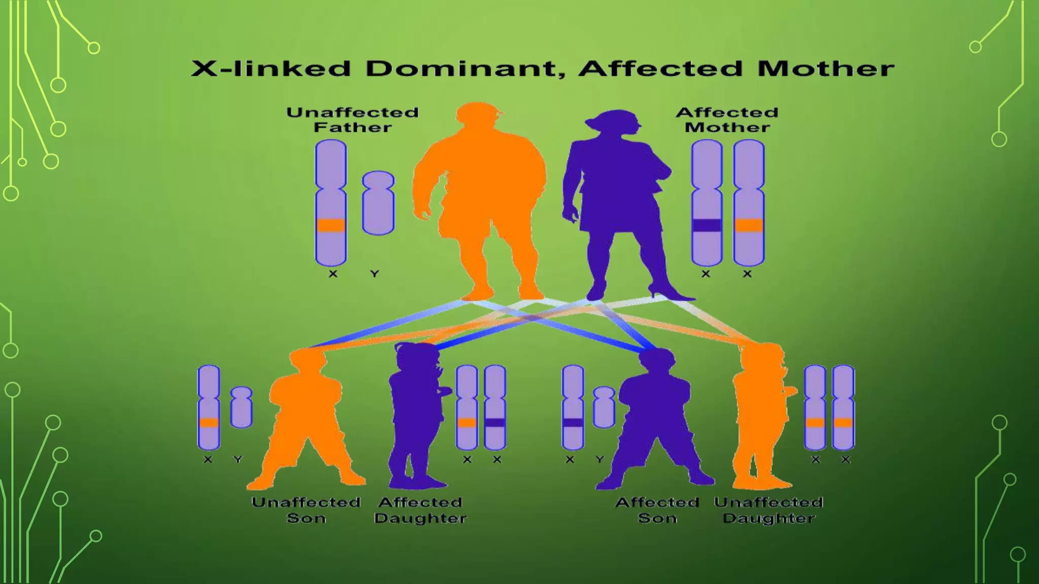 Genetic pattern of common pediatric disorder | PPTX